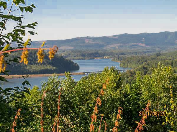Enjoy the View: Lake Mayfield, Mossy Rock, WA