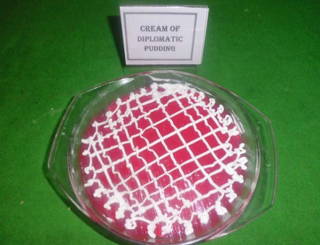 Academic and Creative Writing Journal Vikram Karve: Diplomat Pudding ...