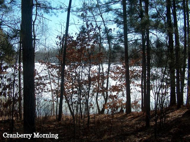 Cranberry Morning: Murphy's Flowage, NW Wisconsin
