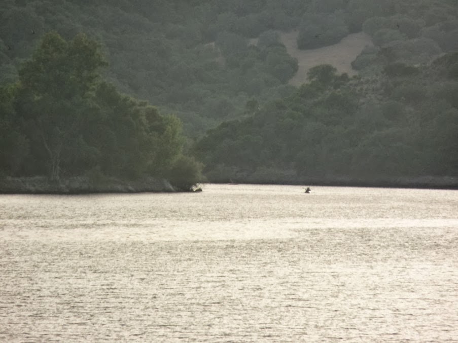Ubrique en verde: Al pantano de los Hurones
