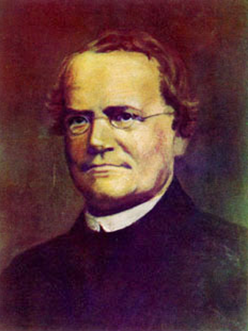 Pengertian Dan Suara Aturan Mendel