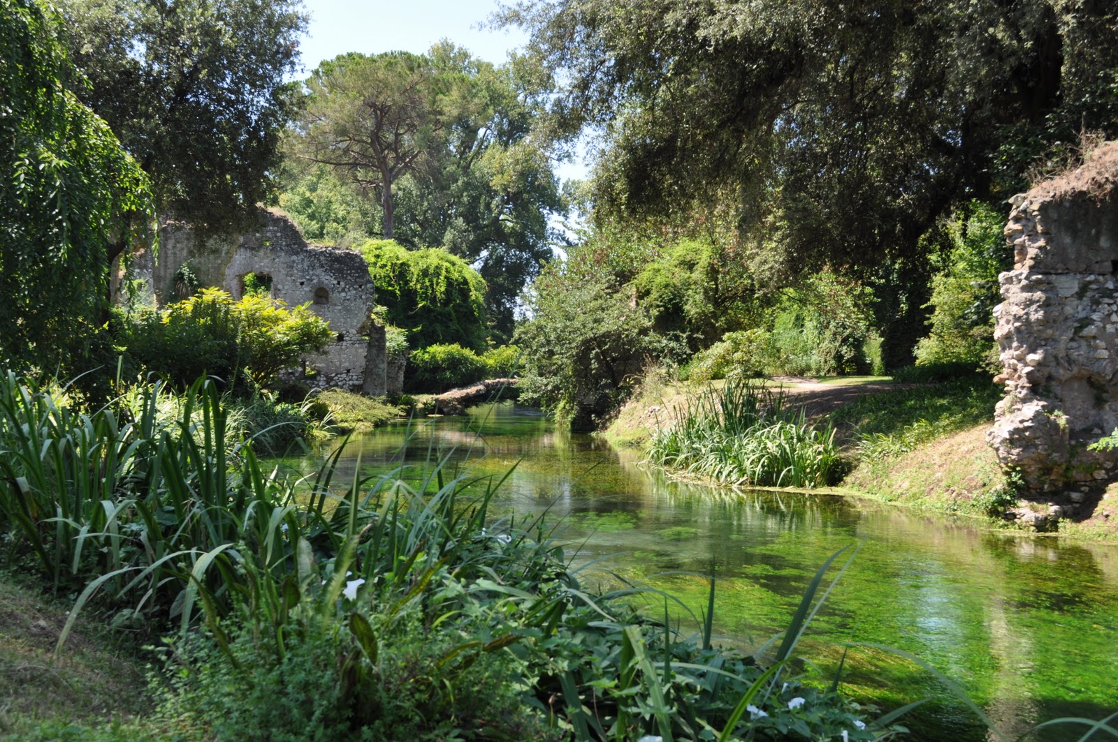 ITALY'S SECRET PLACES: SWAMP CREATURES (Latina-Pontinia)
