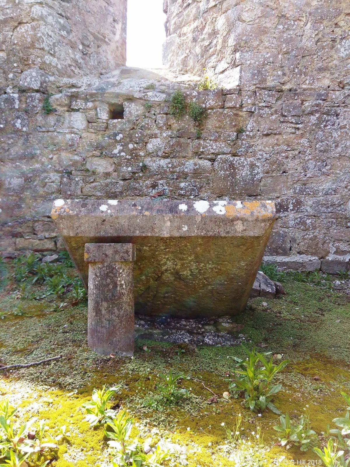 Ireland In Ruins: Dowth Abbey Co Meath