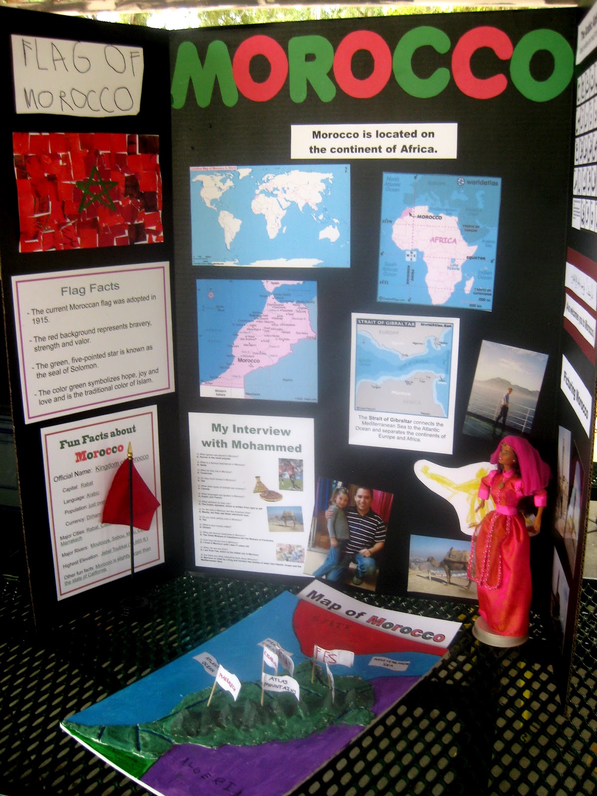 Homeschooling in Heels: Homeschool Geography Fair