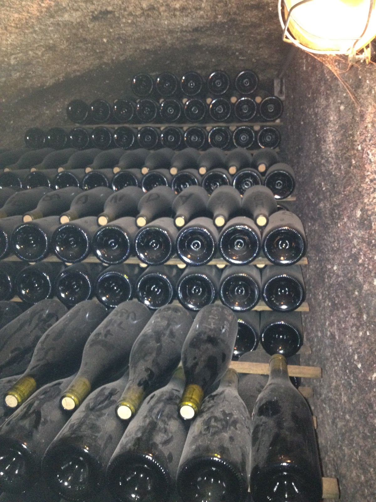 Rutgers - Science Summer Abroad 2012: Wine tasting in one of the ...