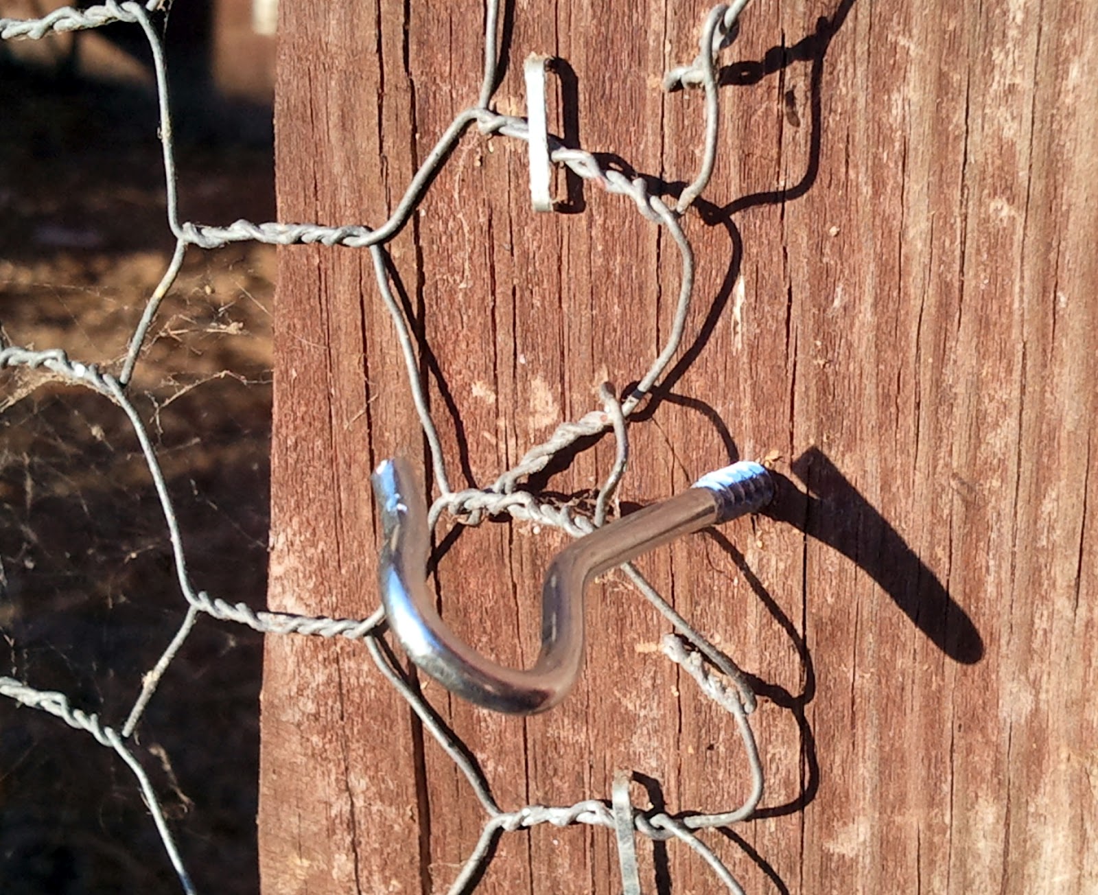 DIY Self-Closing Chicken Run Gate - Fresh Eggs Daily® with Lisa Steele