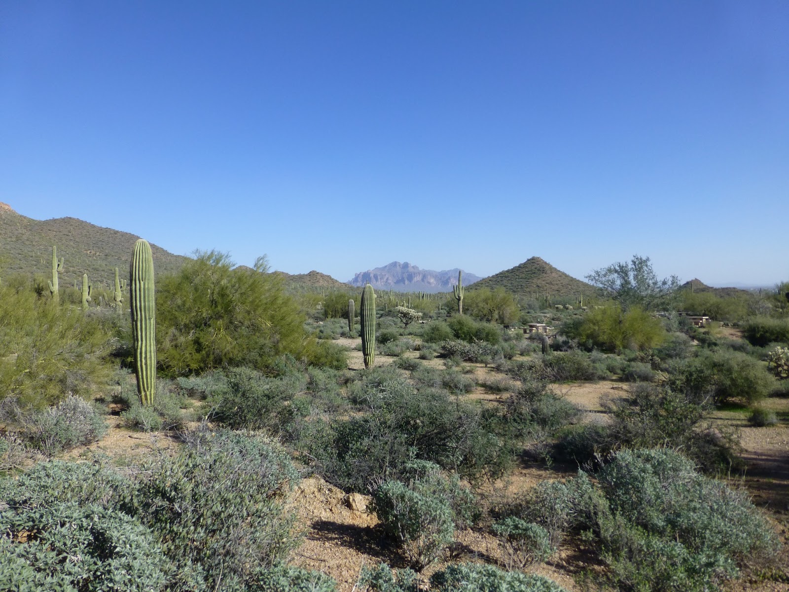 Usery Mountain Regional Park, Apache Junction, AZ