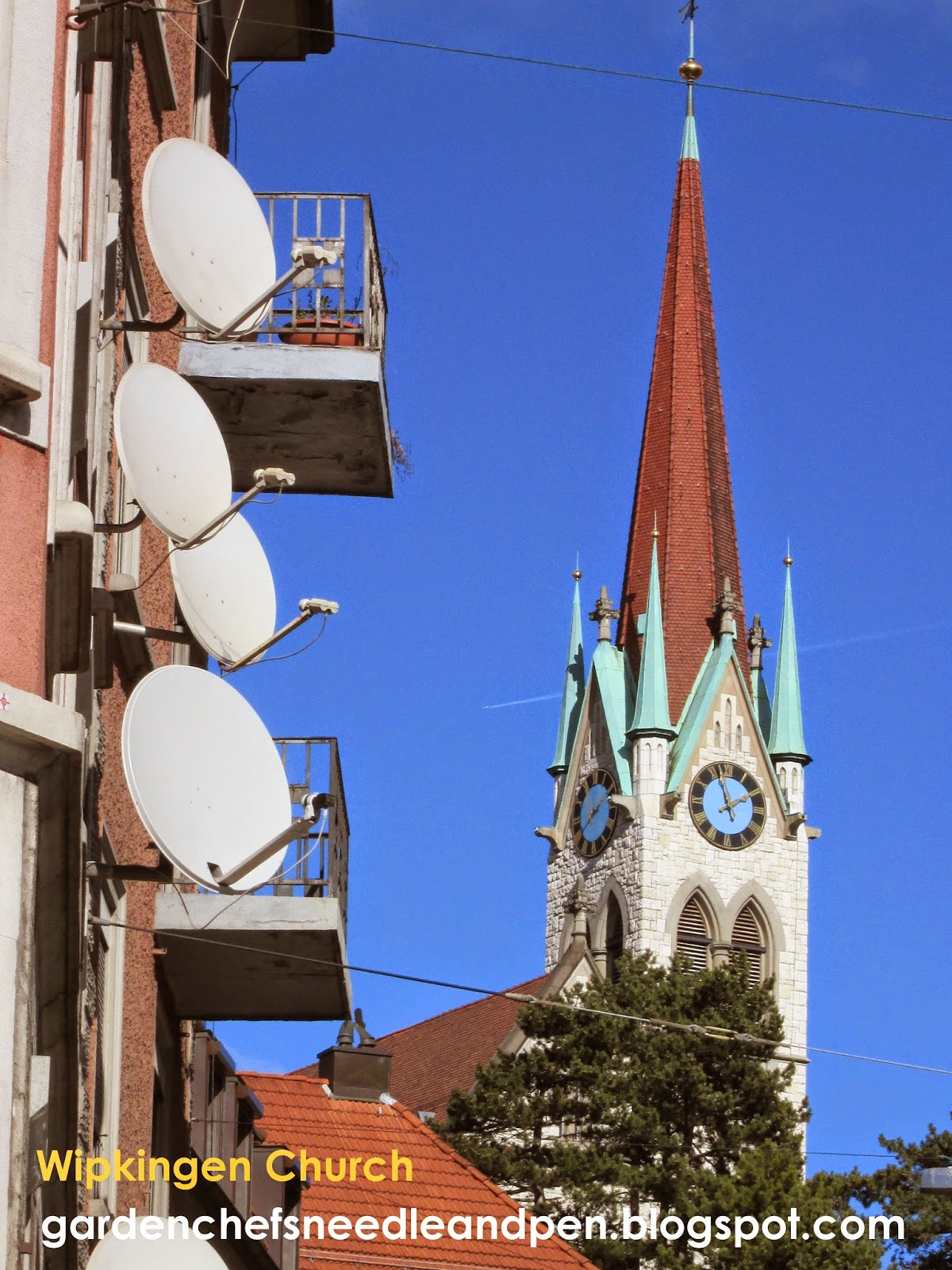 The Birds of Wipkinger Park