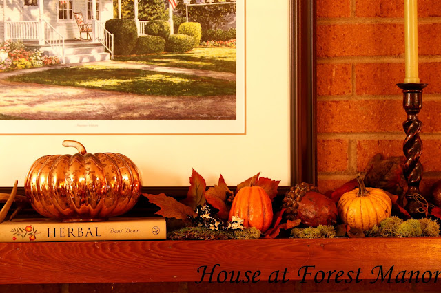 House at Forest Manor: The Fall Den