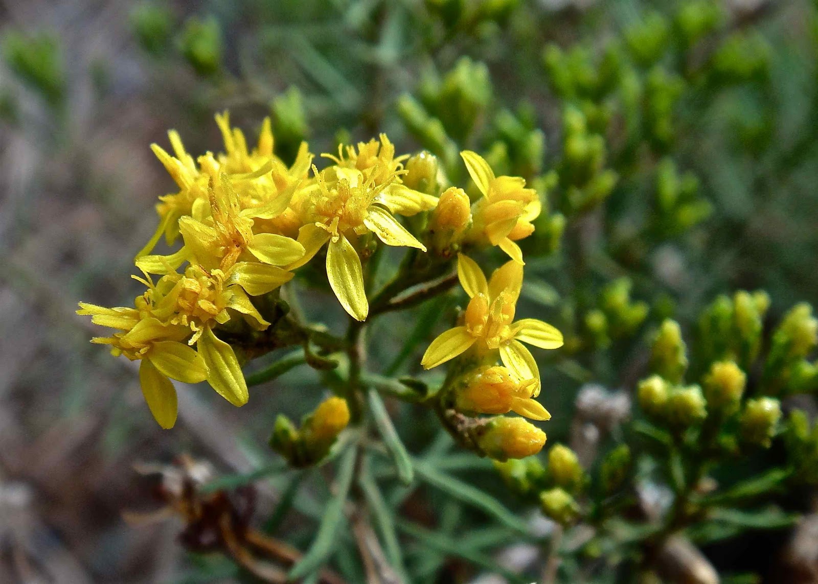 Poetry Of Spirit And Light: September 2013