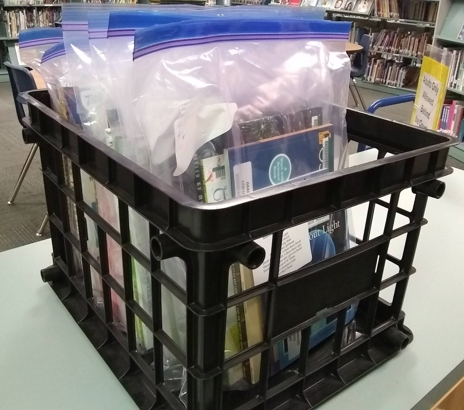 CynthiaParkhill: 2018