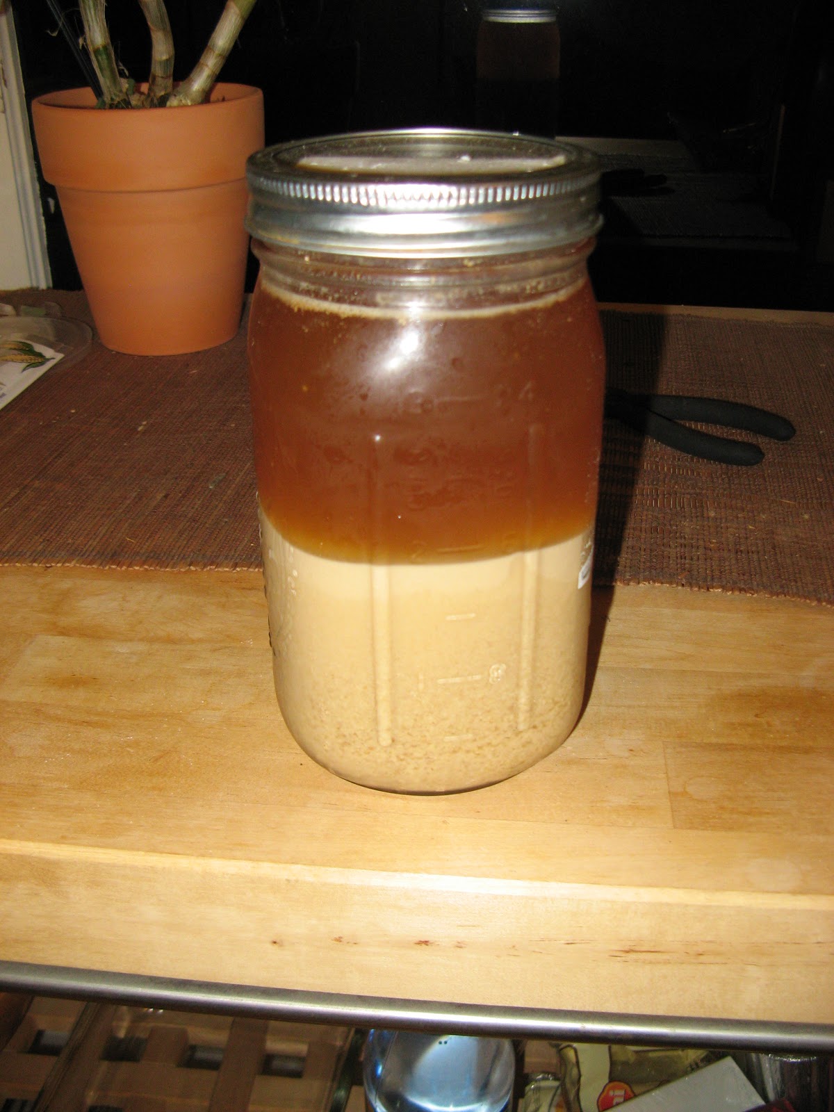 Rooted in California: Leaching Acorn Meal