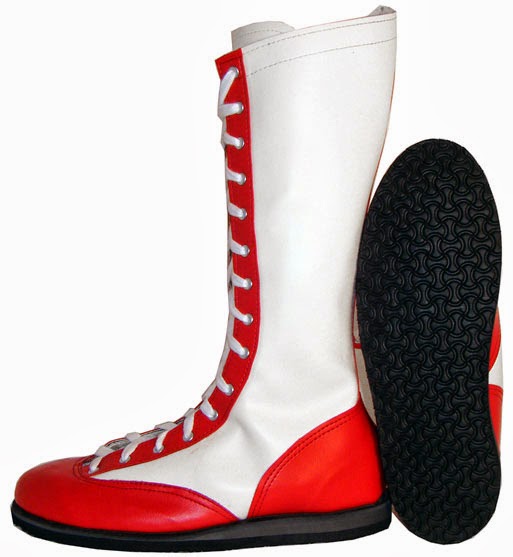 VeVe's Wrestling Blog!: 2014