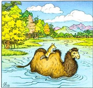 Jackal and the camel short story | Moral Short Stories for Kids