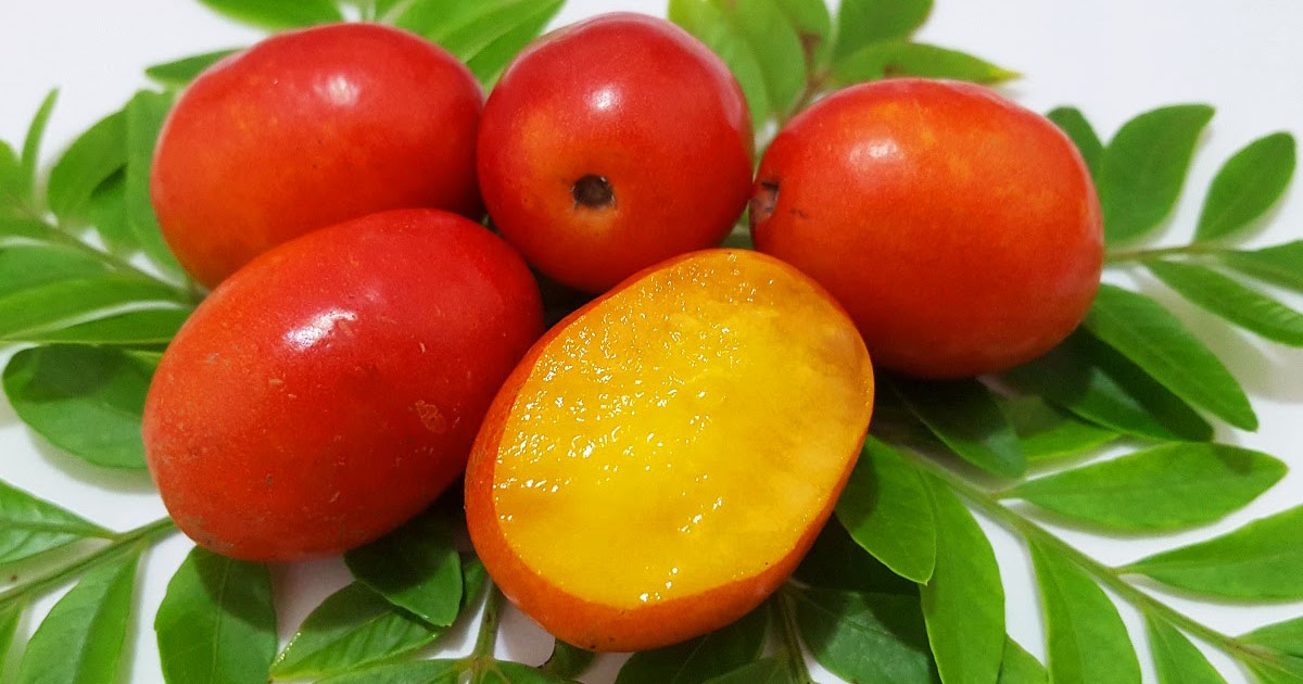 Paquetaense: O que é a fruta seriguela?