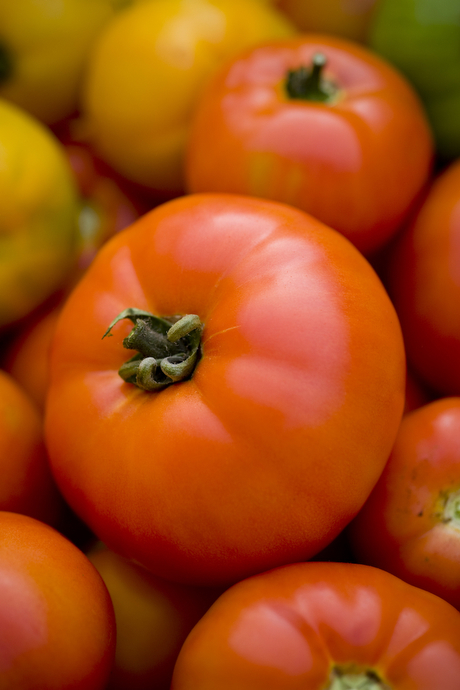 Elyse Butler Mallams - Hawaii Photographer: Wow Tomato Farm | Hana Hou ...