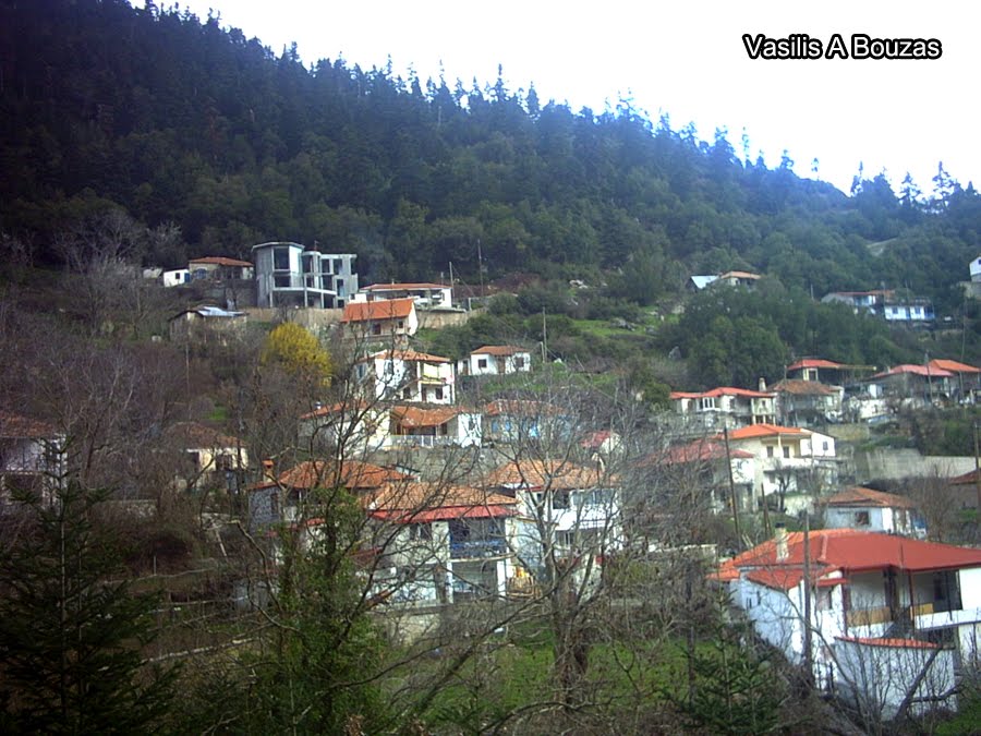 ΜΟΥΣΟΥΝΙΤΣΑ: Προέλευση της ονομασίας της Μουσουνίτσας