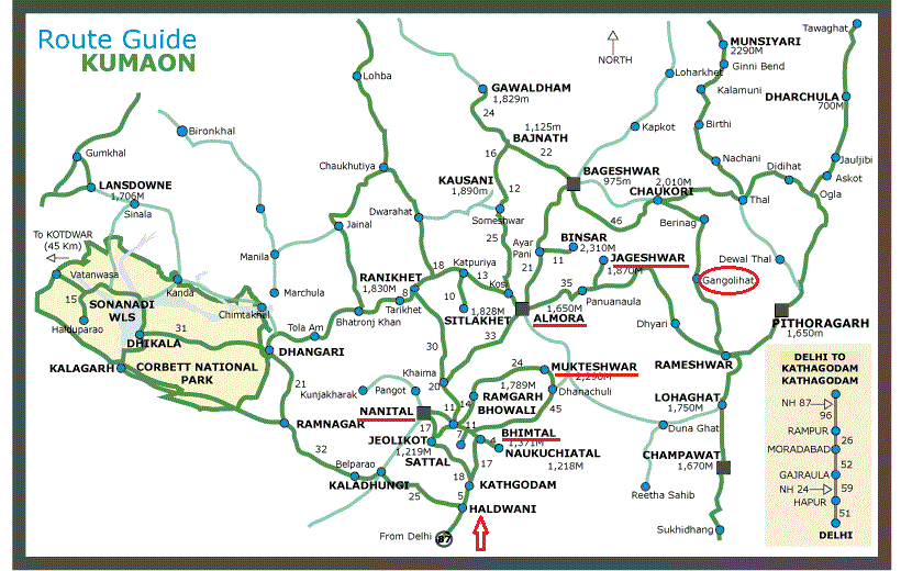 Going Local, in Kumaon!