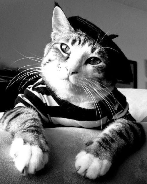 Breaking Brand – a blog by William Stone: Rude Ravens, Giant Rats, and ...