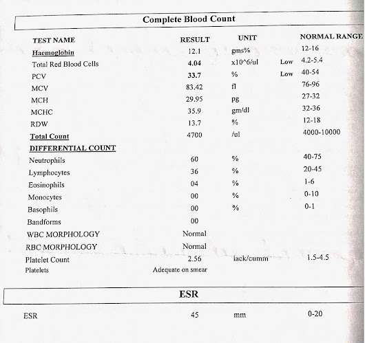 MyEnergy Domain Quetos - Google+