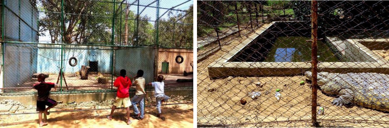 Jardim Zoológico de Maputo fundado em 1929 - zona dos animais (2/3)