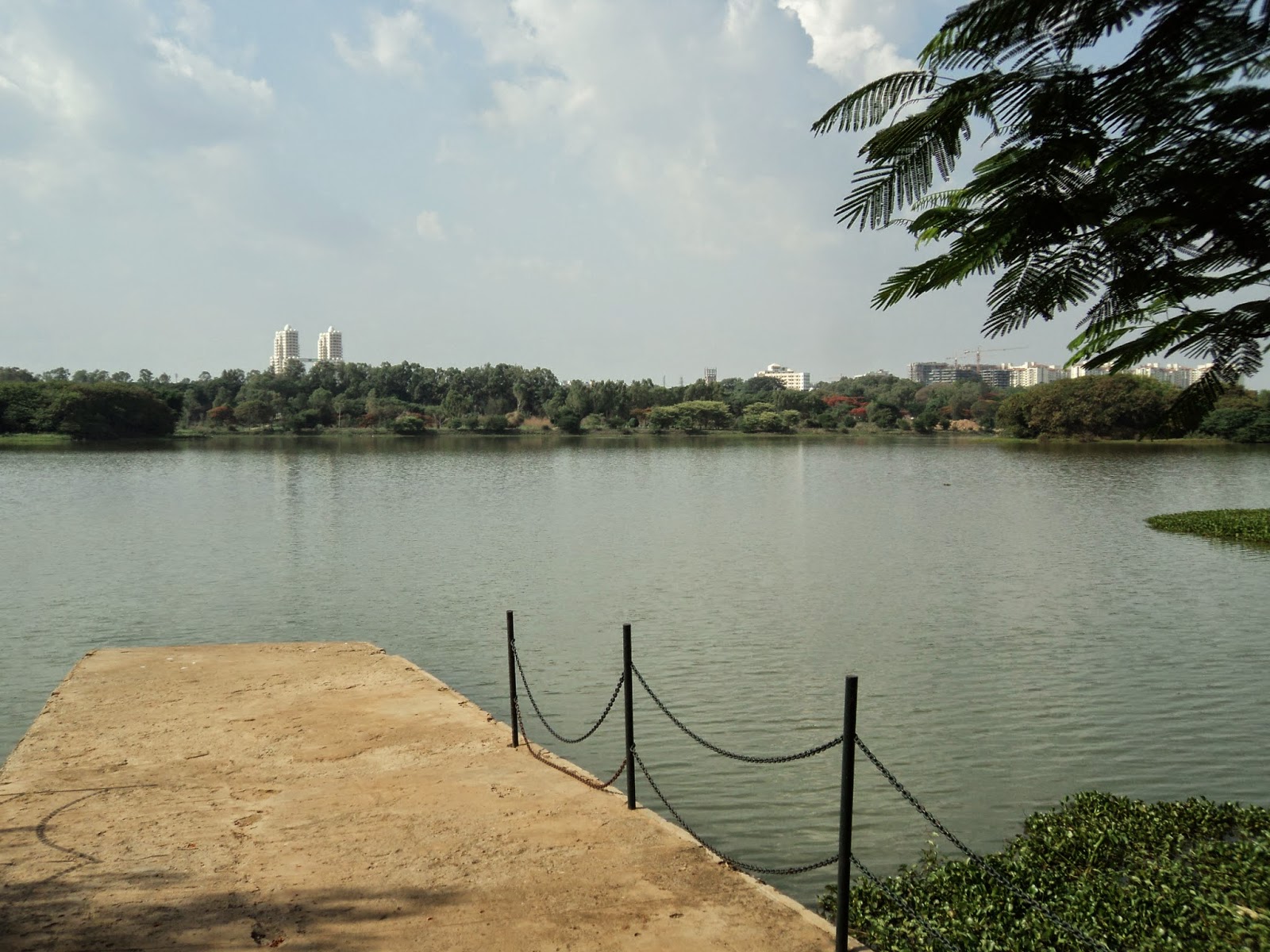 Hebbal Lake, Bangalore: How To Reach, Best Time & Tips