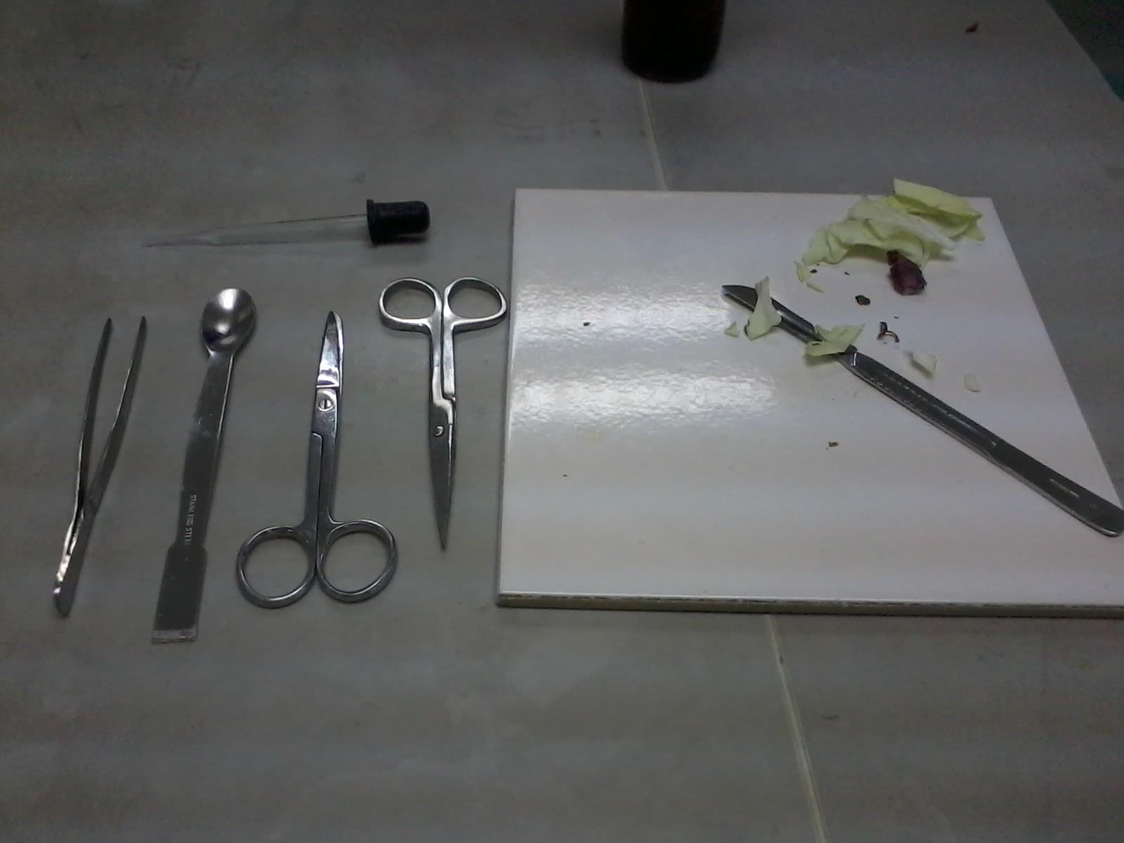 B.IV: AUSMAT in INTEC