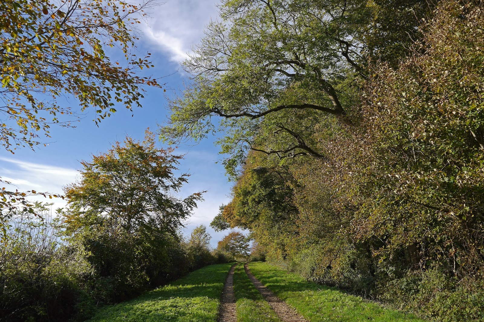 Walking in the country: Wimborne (Willett Rd) to Crawford bridge (Stour ...