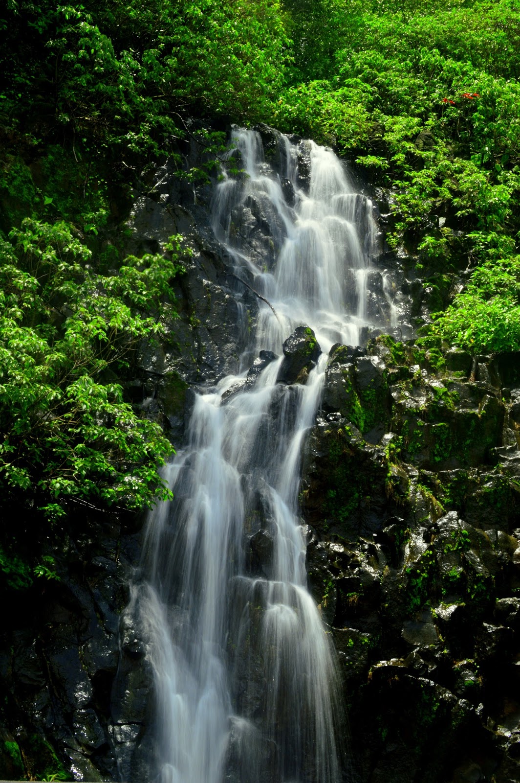 Chorla Ghats, Highest point and Surla falls trip