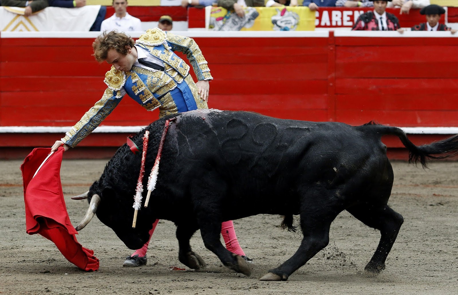 VUELTA AL RUEDO: LXIV FERIA DE MANIZALES – TERCERA CORRIDA: Román luce ...