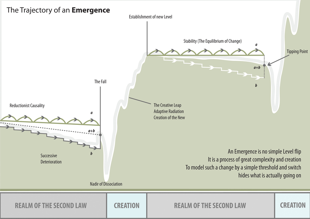 SHAPE Blog: The Trajectory of an Emergence