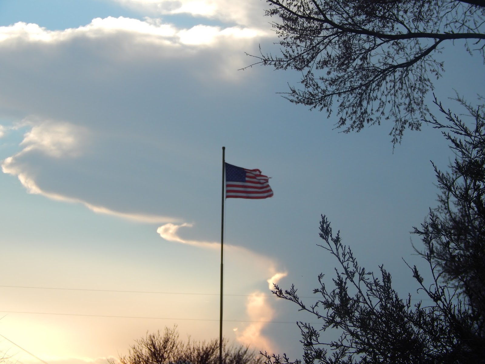 Thoughts from Frank and Fern: Fare Well, from Frank & Fern