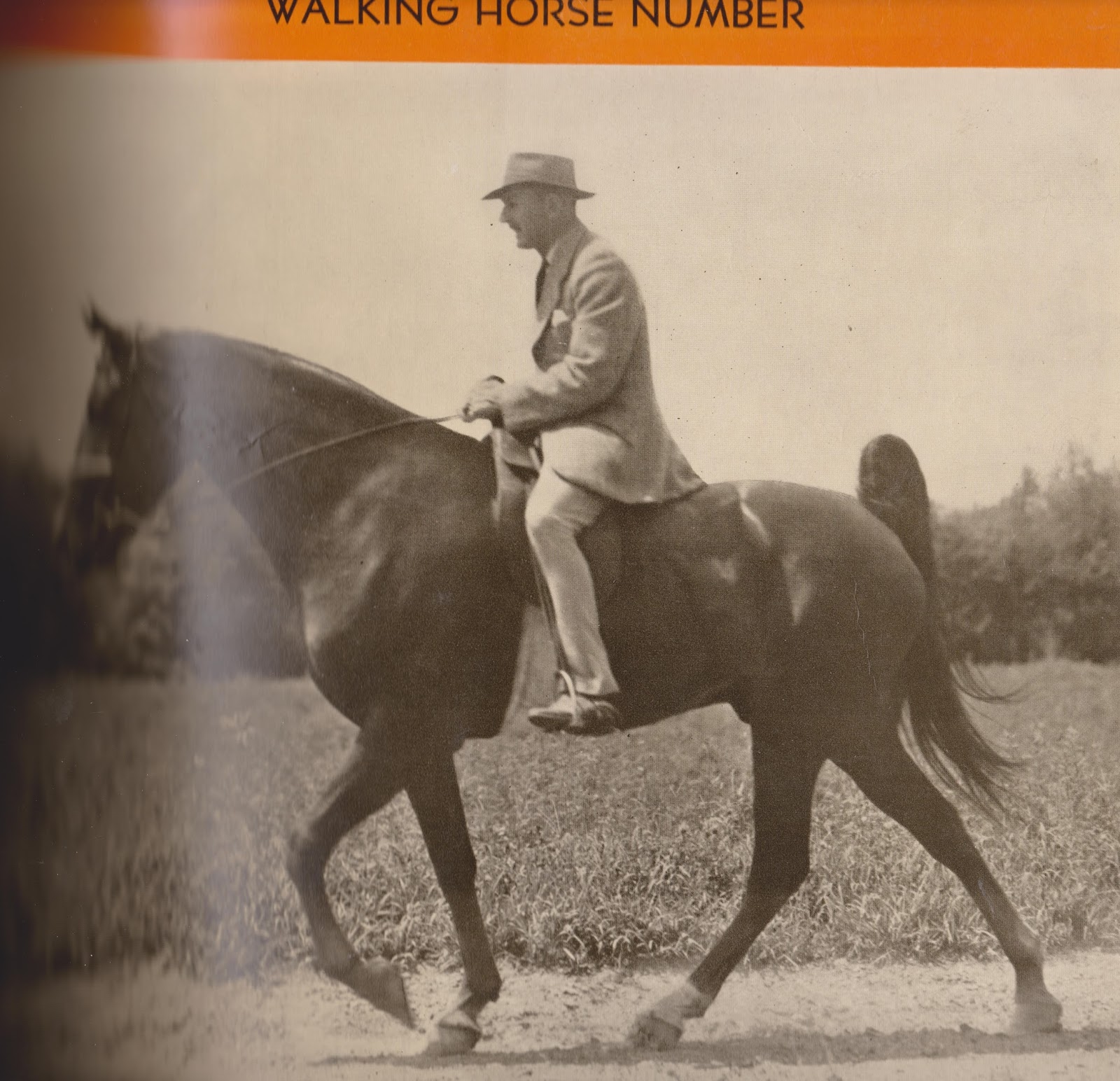The American Saddlebred: 8/29/15 American Horseman from 1940, July thru ...