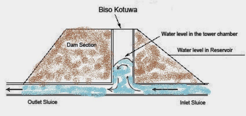 FOREST BIRD: BISO KOTUWA – A Sri Lankan Engineering Marvel