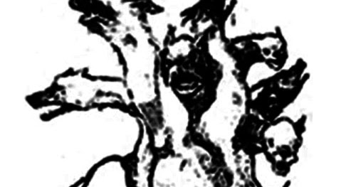 Los Símbolos y su Significado: Leyendas y mitos guaranies. Los siete ...