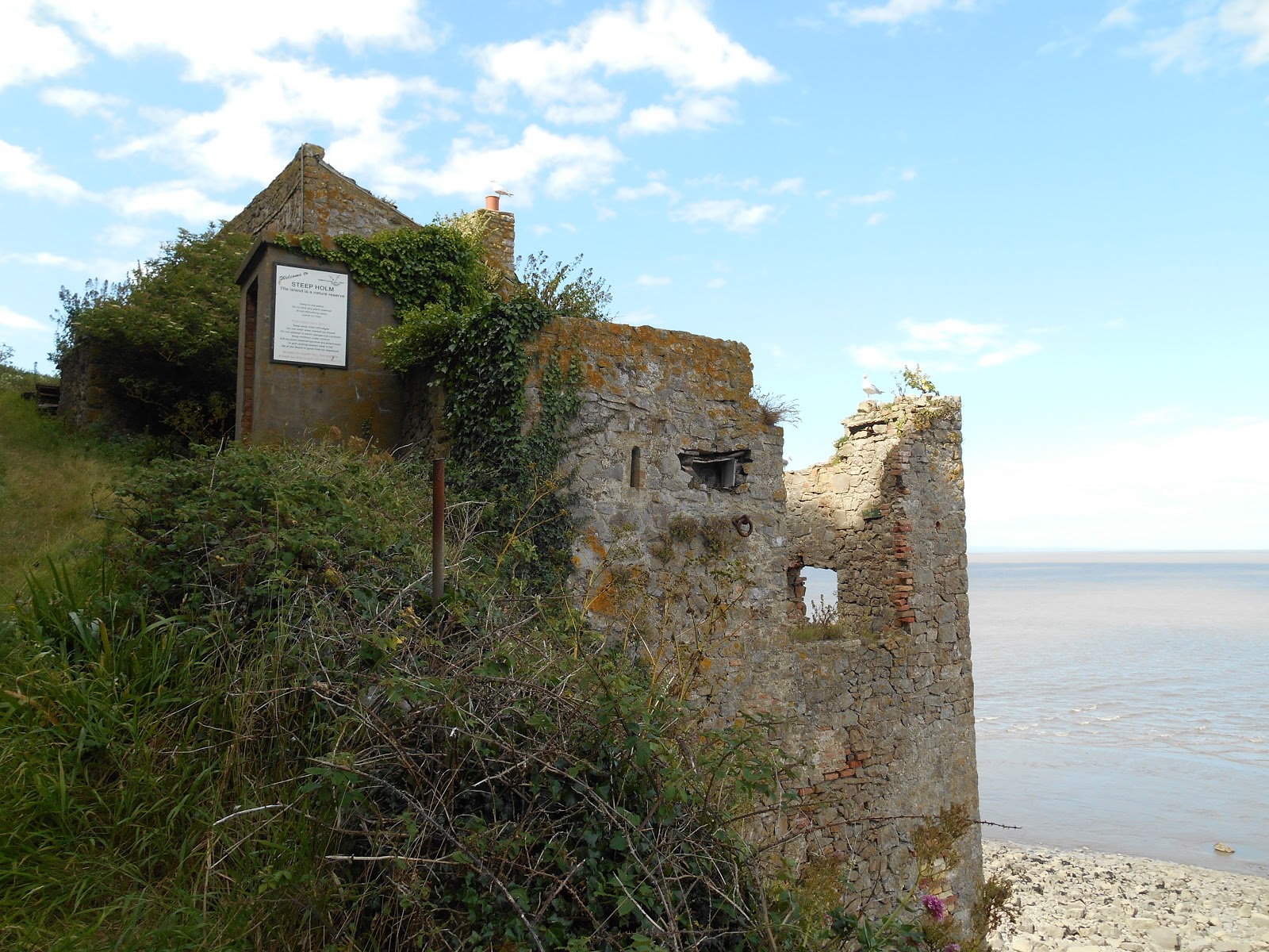 A lifetime of Islands: Island 66 - Steep Holm, Somerset