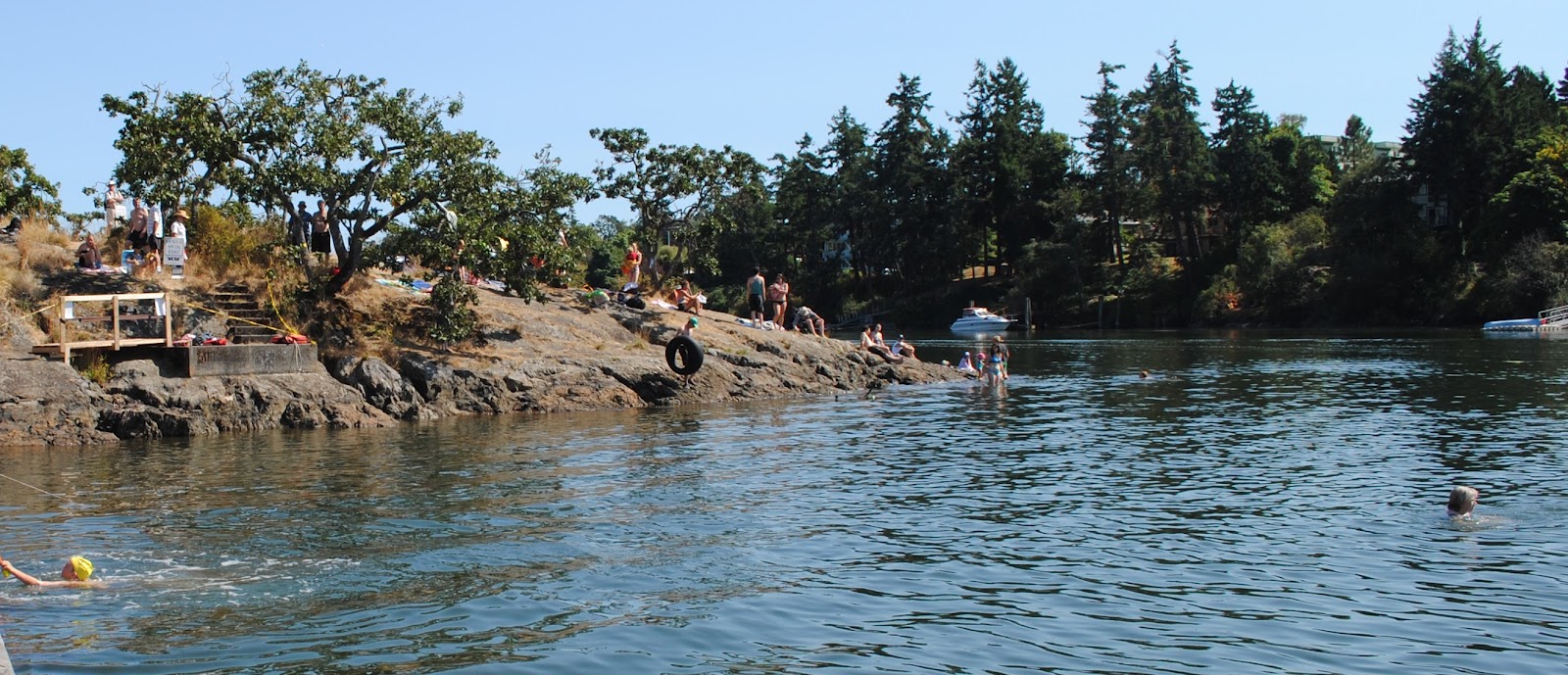 Victoria Vision: Gorge Swim Fest