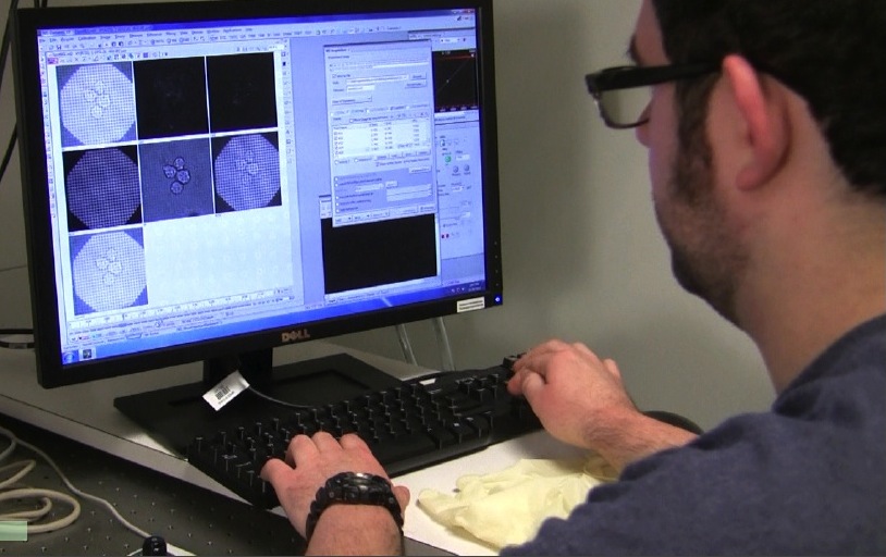 eScienceCommons: Chemists reveal the force within you