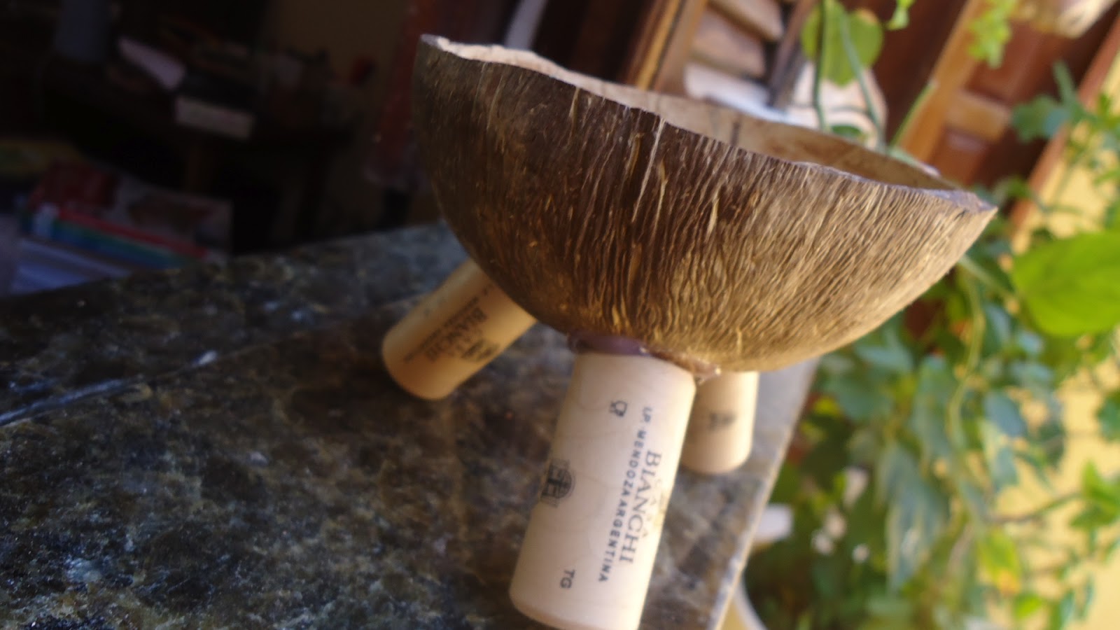 PEQUENAS IDEIAS, GRANDES COISAS...: Casca de coco reciclada