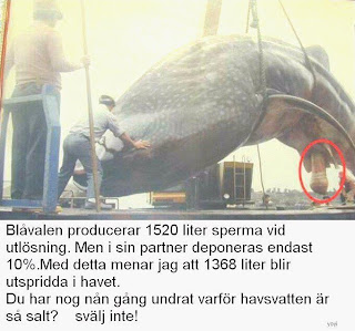 Tankar och funderingar om livet i vardagen...: Ha ha, sjuk humor...