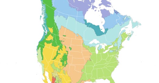 Maps Mania: The Ecoregions of North America