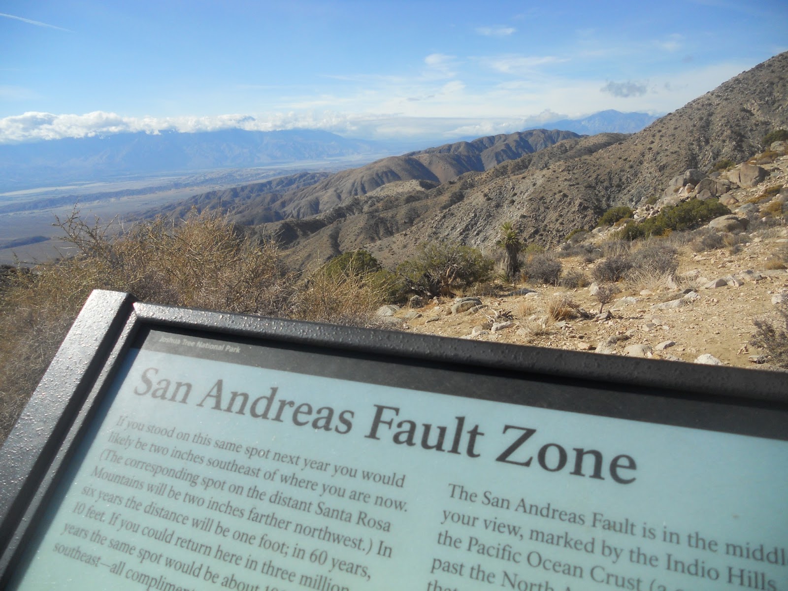 vicarious travelling: California - Joshua Tree National Park cont.