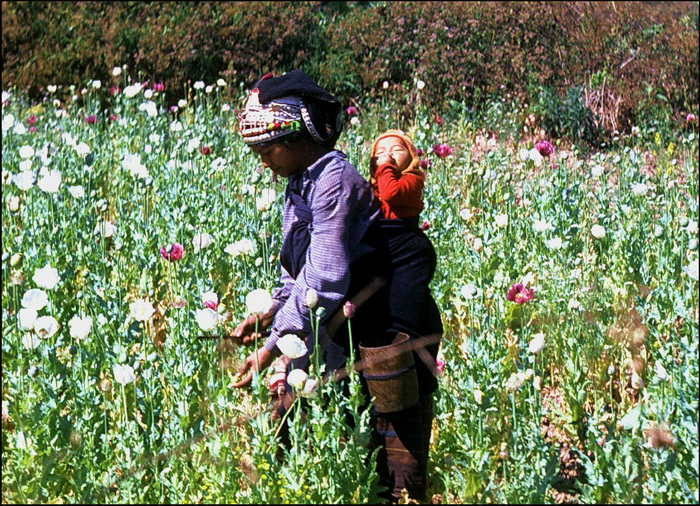 Nothin' Sez Somethin': Myanmar (Burma)