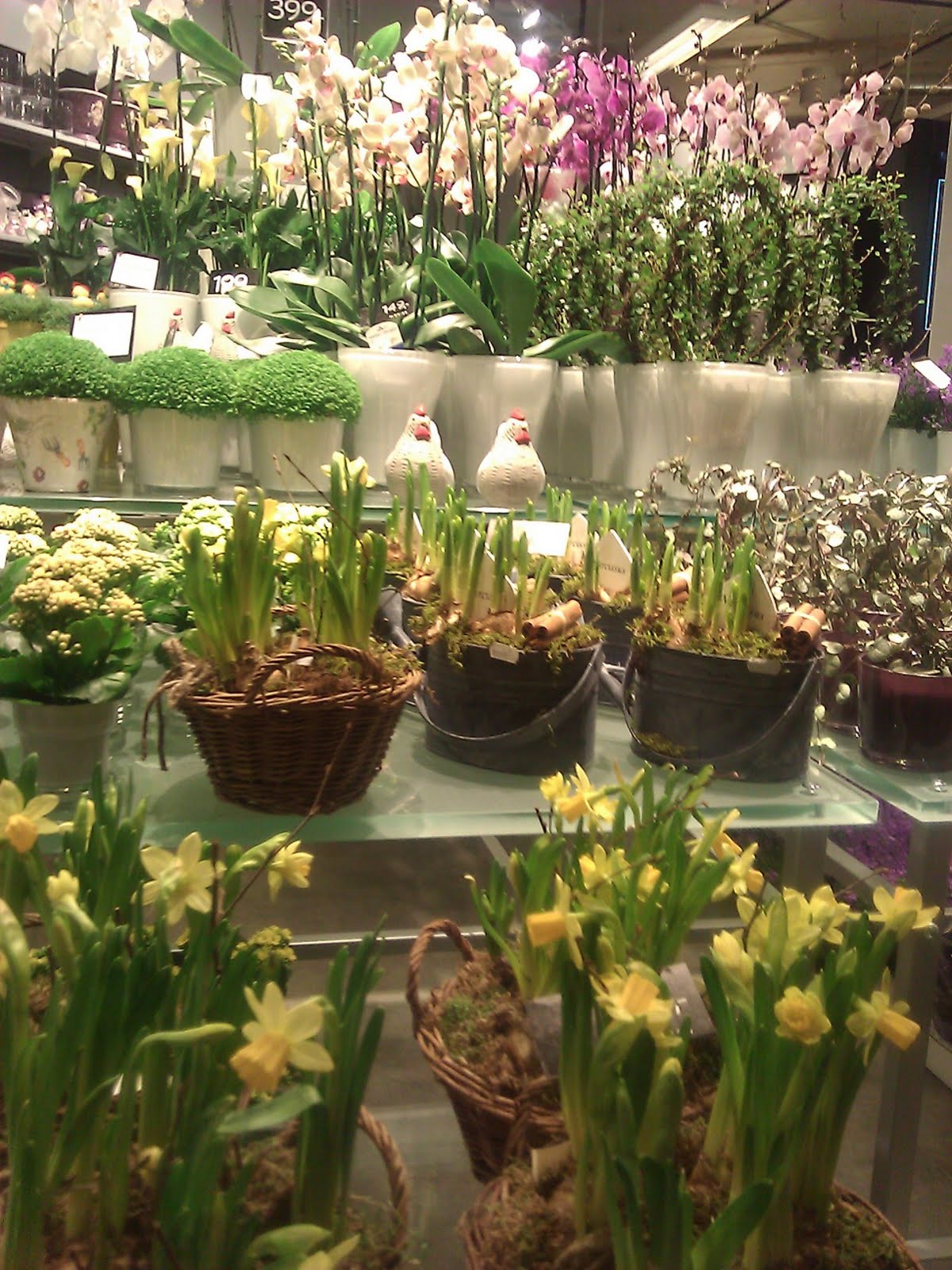 Floriss AS: Velkommen til Floriss Namsos!