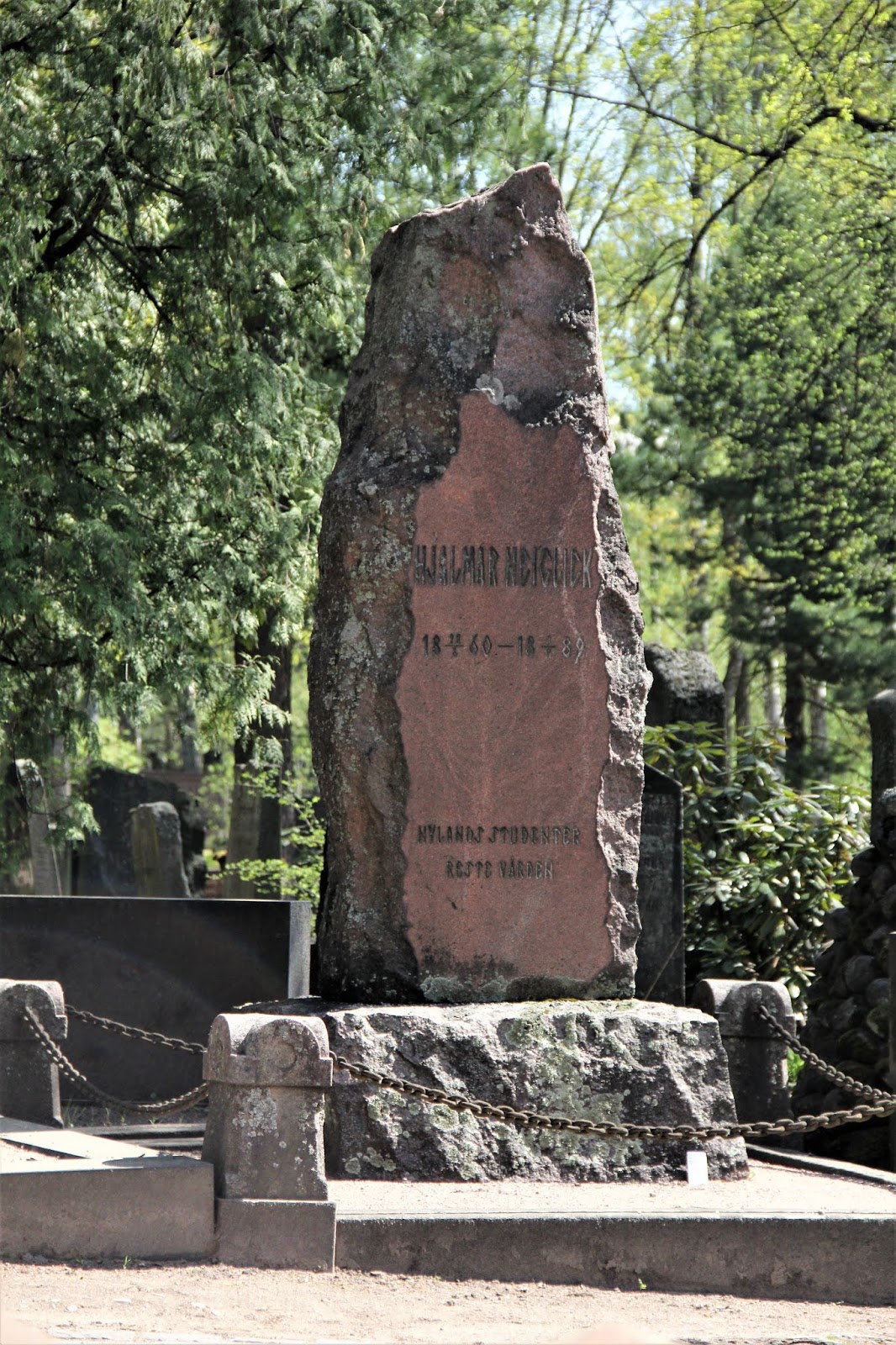 hietaniemi cemetery | summer violets