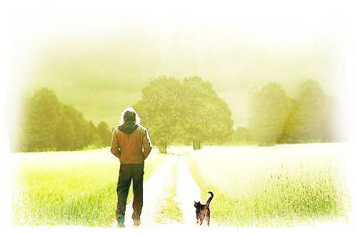 The Monologues of a Desert Dude: The Road Home