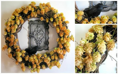 Seminte si plante de gradina hobby: Hamei -Humulus lupulus