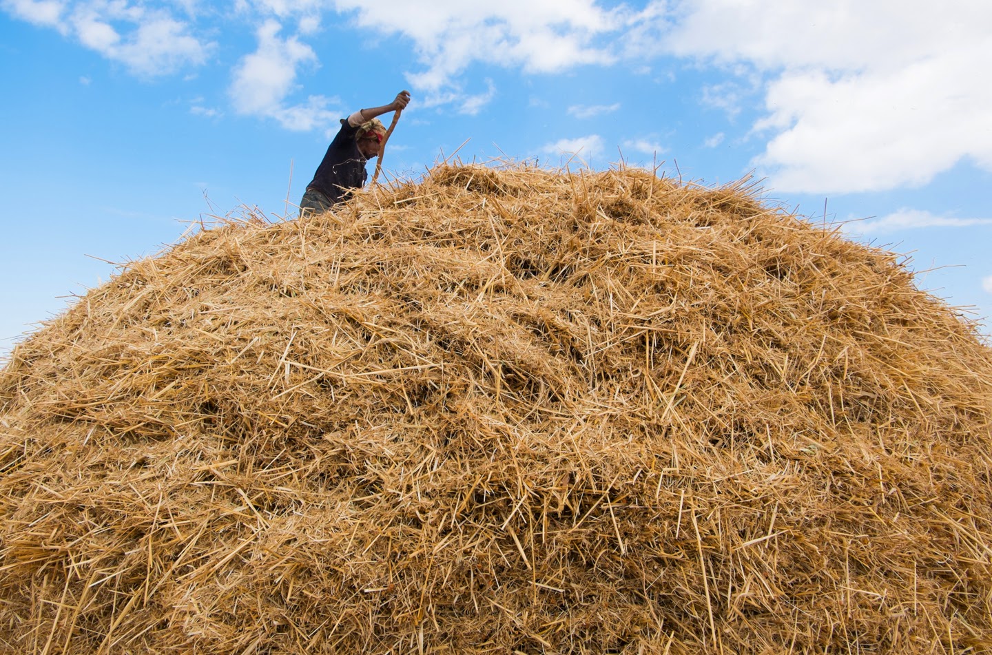 Hello Talalay: Threshing In Ethiopia