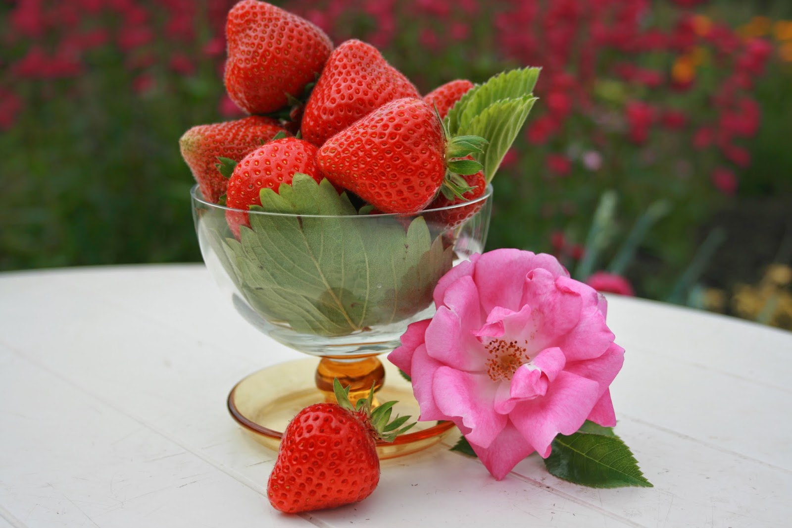 The Fruit Growing Expert: The top 5 best-flavoured strawberries