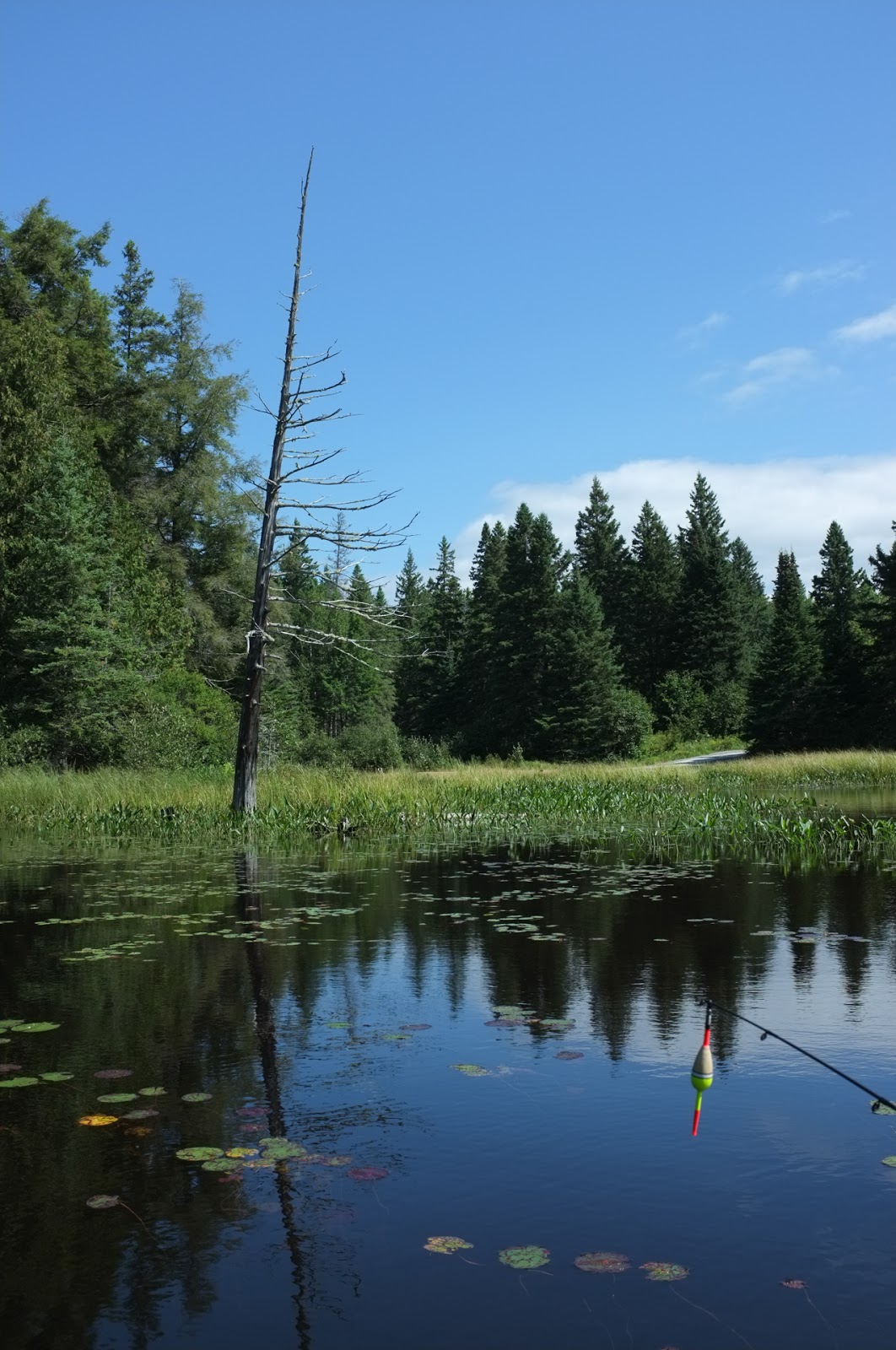 Algonquin Provincial Park - Pog Lake Campground ~ this anomal life.